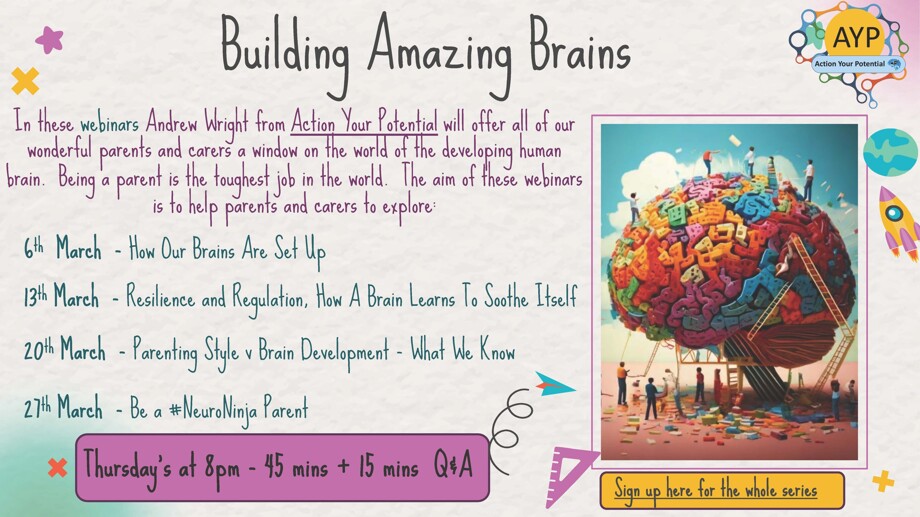 Building Amazing Brains - News - Hylands School
